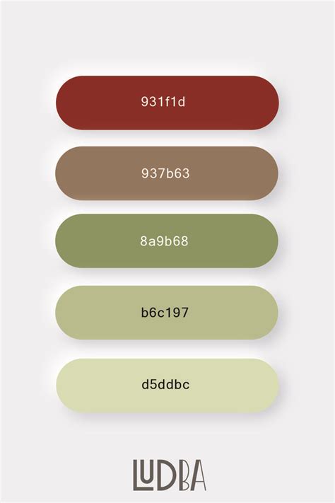 Color Palette And Schemes For Designers Combinazioni Di Colori Idee Palette