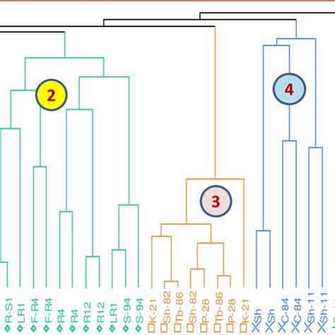 dendrogram by cluster analysis of different tobacco genotypes for all
