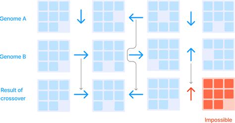 Sliding Puzzle Game Genetic Algorithm Solver By Mohamed Elamine