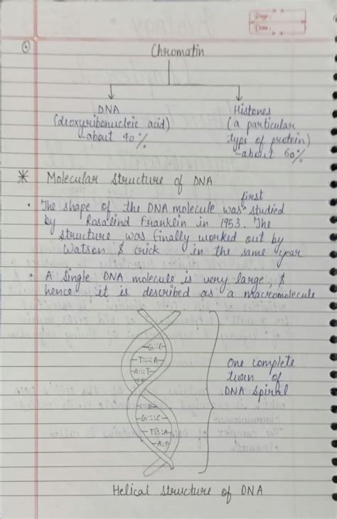 Solution Class 10th Biology Handwritten Notes Structure Of Chromosome Cell Cycle And Division