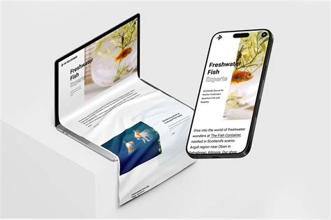 The Fish Container Alpha Plus Digital Marketing