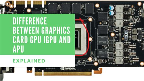 Difference Between Graphics Card GPU IGPU And APU GPUSpecs Com