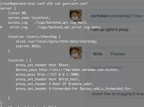 If You Get The User S Real IP Issue Sanic Org Sanic GitHub