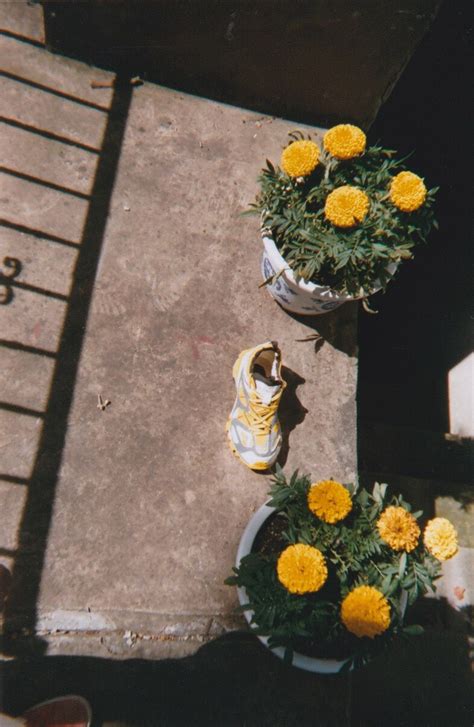 Diana Didi Rojas Dazed 100 Dazed