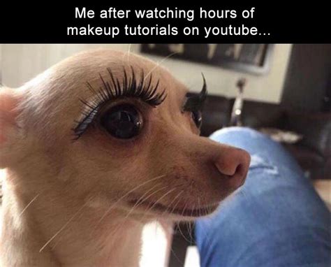 Afternoon Funny Picture Dump Pics