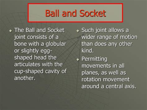 Download Ball And Socket Joint Movement Around Longitudinal Axis
