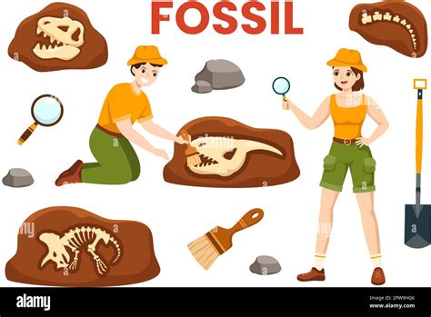 Fossil Illustration Mit Archäologen Findet Dinosaurier Skelette Auf Ausgrabungen Oder Beim Fossil Illustration Mit Archäologen Findet Dinosaurier Skelette Auf Ausgrabungen Oder Beim