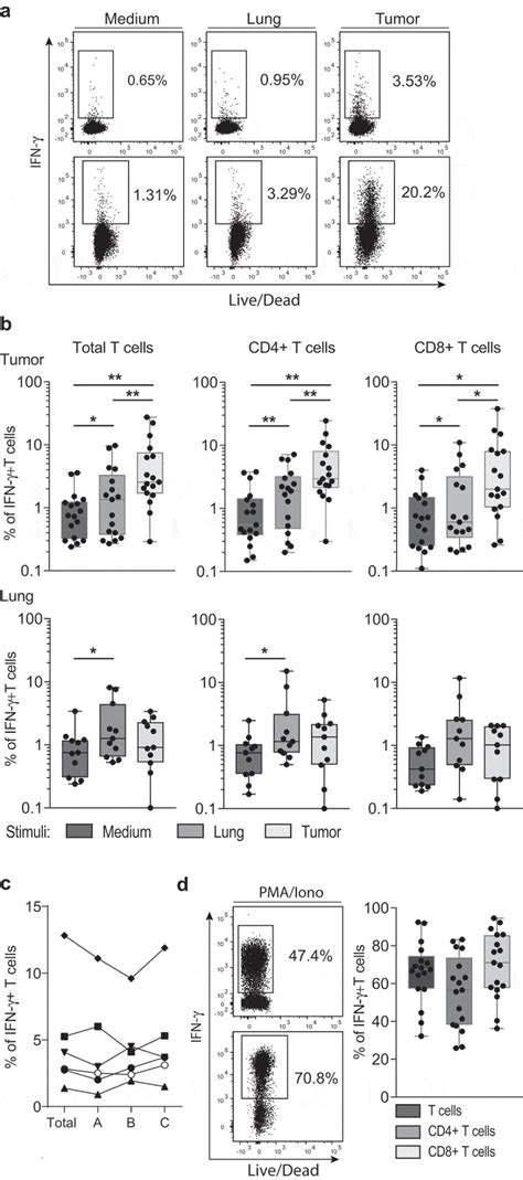 Polyfunctional Tumor Reactive T Cells Are Effectively Expanded From Non