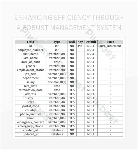 enhancing efficiency through a robust management system excel