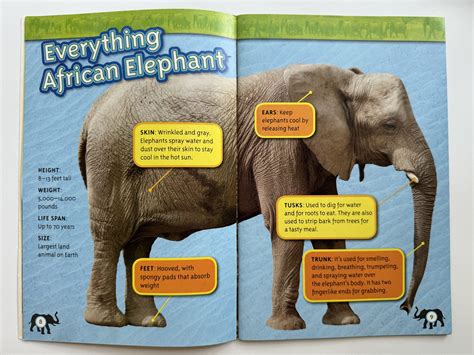 What Are Text Features Examples And How To Teach Them