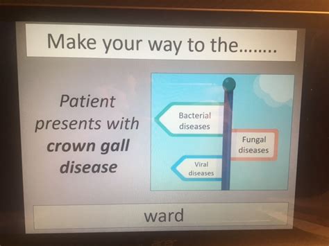 OCR Gateway GCSE Biology A Paper REVISION Topics B B Teaching Resources