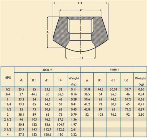 Threadolet Dimensions 2 Class 3000 Npt Astm A105 Mss Sp 97 60 Off