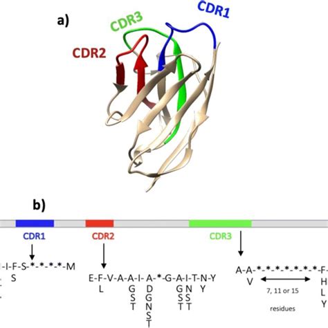 A Cartoon Representation Of A Nanobody Cdr1 2 And 3 Are Colored In