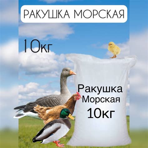 Морская ракушка для кур купить с доставкой по выгодным ценам в