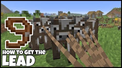Hoe Maak Je Een Lasso In Minecraft Hoe Je Je Naam Kan Veranderen Op