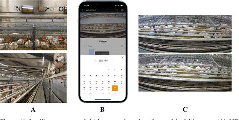 Figure 12 From An Advanced Chicken Face Detection Network Based On Gan And Mae Semantic Scholar