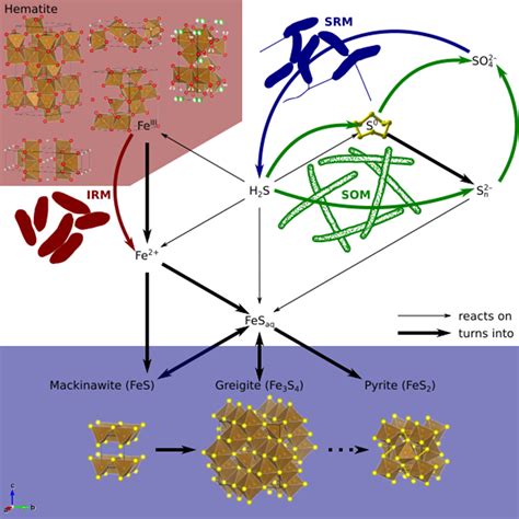 Biogenic Pyrite And Metastable Iron Sulfides Emerging Formation