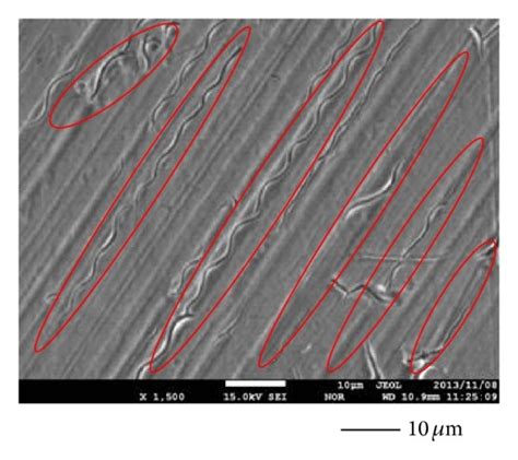 Sem Image Of Tio2 Film Coated On Cu Disc Download Scientific Diagram