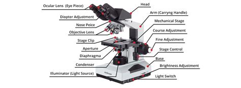 How To Use The Amscope Microscope Step By Step Prime Lab Med