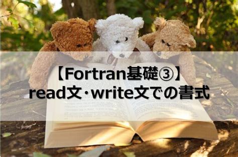 【fortran基礎③】read文・write文での書式 honey bear s note