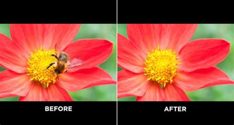 Adobe After Effects Has A Powerful Tool That Can Remove Any Object From Your Video