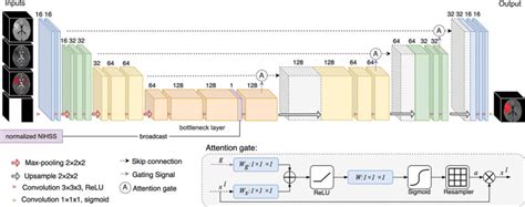 Predicting Hypoperfusion Lesion And Target Mismatch In Stroke From Diffusion Weighted Mri Using