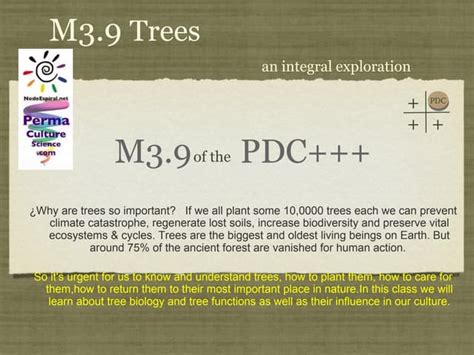 pdc module 3 class 9 trees i ppt gardening home and garden