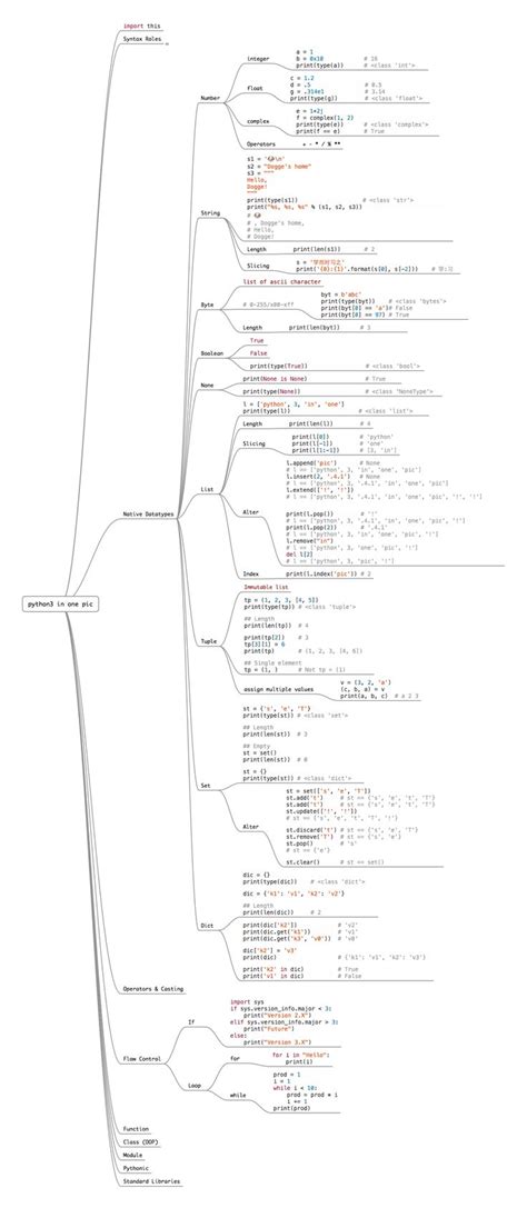 Learn The Entire Python Language In A Single Image Computer