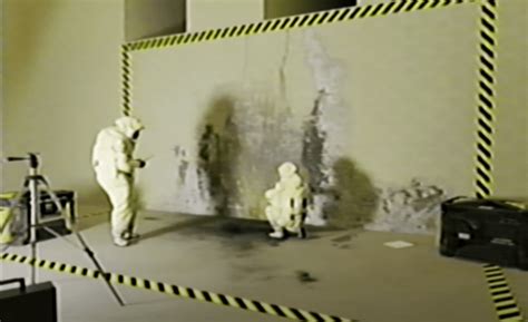 Biological Hazards Within The Backrooms Rkanepixelsbackrooms