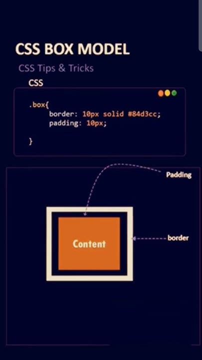 Css Boxmodel Youtube
