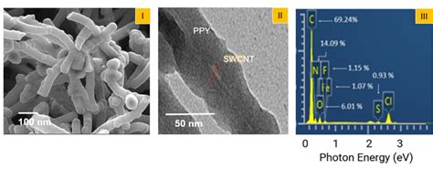 i sem and ii tem morphologies of swcnt c4f ppy core shell shaped
