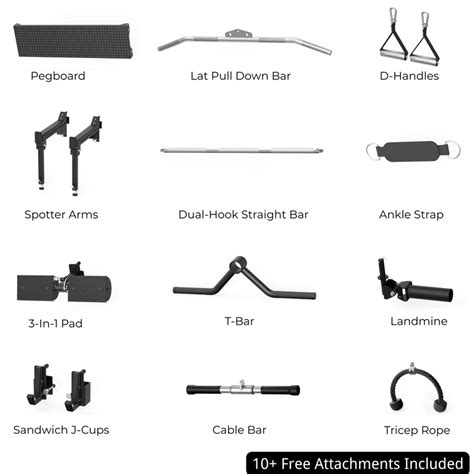 Anubis™ 2 0 Standard All In One Trainer Mikolo