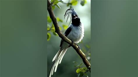 ان الذین کفرو Quran Islamic Video With Foryou 🫒 Fyp 🎧 Youtube