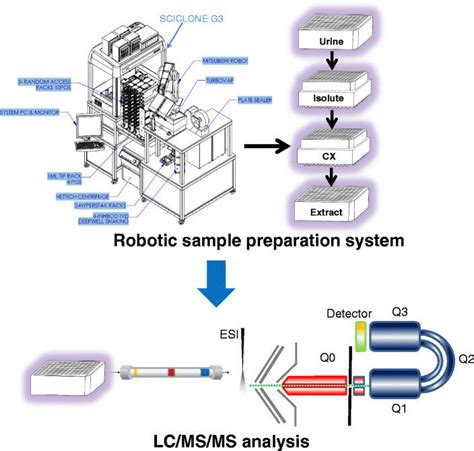 High Throughput Robotic Sample Preparation System Coupled With Lc Msms Download Scientific