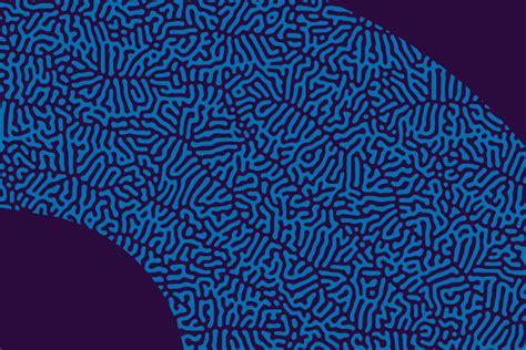 Harnessing The Ooda Loop For Agentic Ai From Generative Foundations To