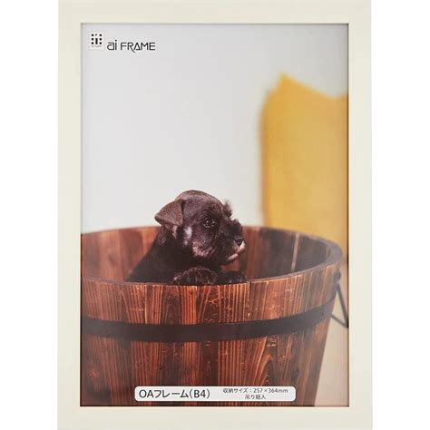 イワタ Ai Frame Oaフレーム B4 ピンク ブラウン ナチュラル ホワイト Joa B4 額縁 額縁・アルバム・雑貨の老舗 万丈 通販 Yahoo ショッピング
