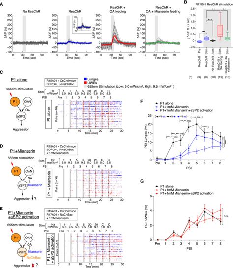 A Circuit Node That Integrates Convergent Input From Neuromodulatory And Social Behavior