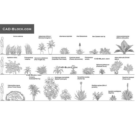 Shrubs Cad Blocks Autocad Dwg