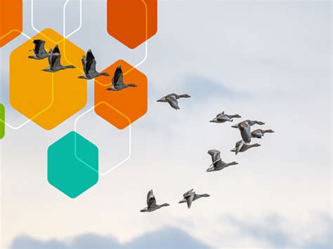 Arcgis User Types Matrix Arcgis Blog