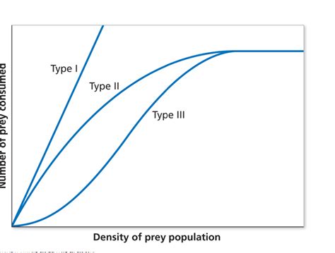 Solved Which Type Of Functional Response Would You Expect In