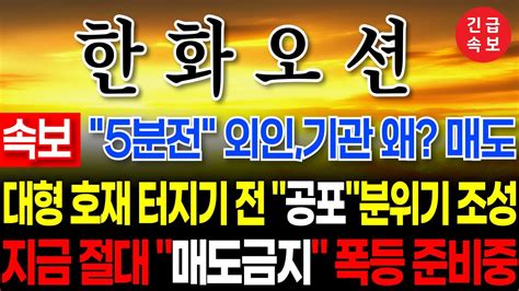 한화오션 지금 하락 걱정 하지마세요 목표가는 최소 여기까지 한화오션 주네비 한화오션주가전망 한화시스템 한화엔진 한화오션대응 트럼프수혜주 한화오션 한화