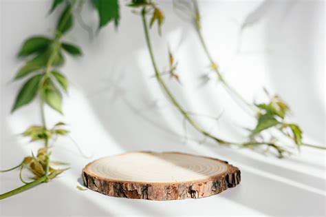 그림자와 흰색 배경에 프리젠 테이션 및 전시회를위한 자연 둥근 나무 스탠드 유기농 화장품을 위해 녹색 잎으로 3d 빈 연단을 모의 공간을 복사합니다 연단에 대한 스톡 사진