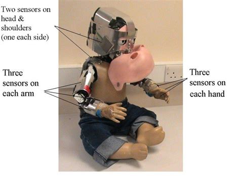 Illustration Of The Temporary Tactile Sensors Download Scientific Diagram