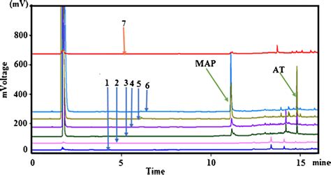 Typical Chromatograms For 1 Blank Solution Before Extraction And