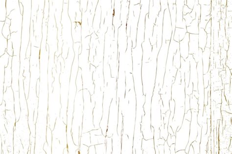 Tree Trunk Texture Vector