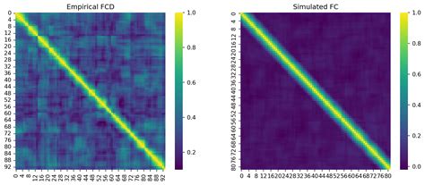Basics Of Brain Network Modeling And Running An Example Simulation Cubnm Documentation