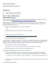 Exploring Microscopy In Biology Lab Virtual Microscope Tutorial Course Hero