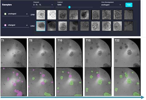 Transformative Power Of Ai Enabled Data Analytics Molecular Devices