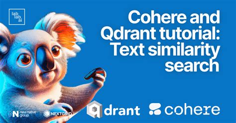 question and answer on your data with qdrant tutorial