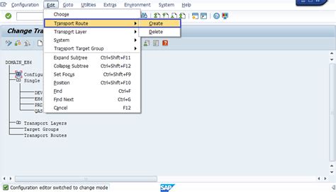 Sap Basis Configuring Transport Routes